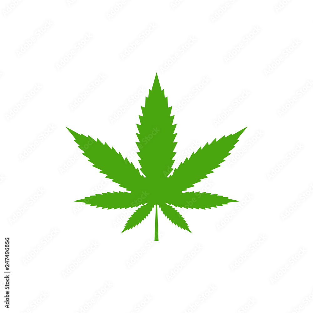 Vecteur Stock cannabis leaf isolated on white background. marijuana ... Vecteur Stock cannabis leaf isolated on white background. marijuana ...