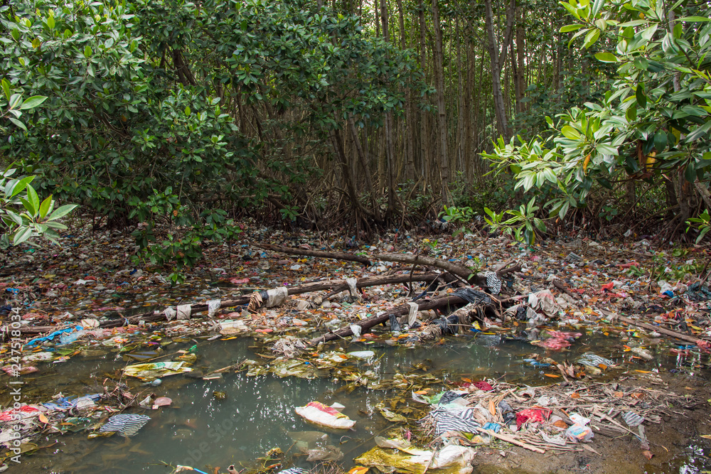 Huge Dump in Tropical Mangrove Tree Forest. Plastic Waste Rubbish Floating in Lake Water ...