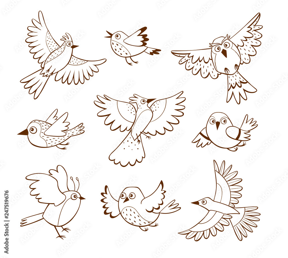 Hand drawn flying birds in different poses, isolated on white ...