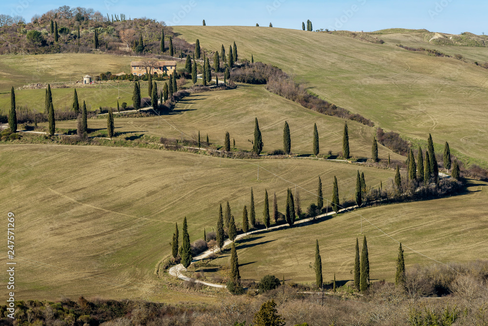 Typical rural landscape of the Tuscan countryside south of Siena, Italy ...