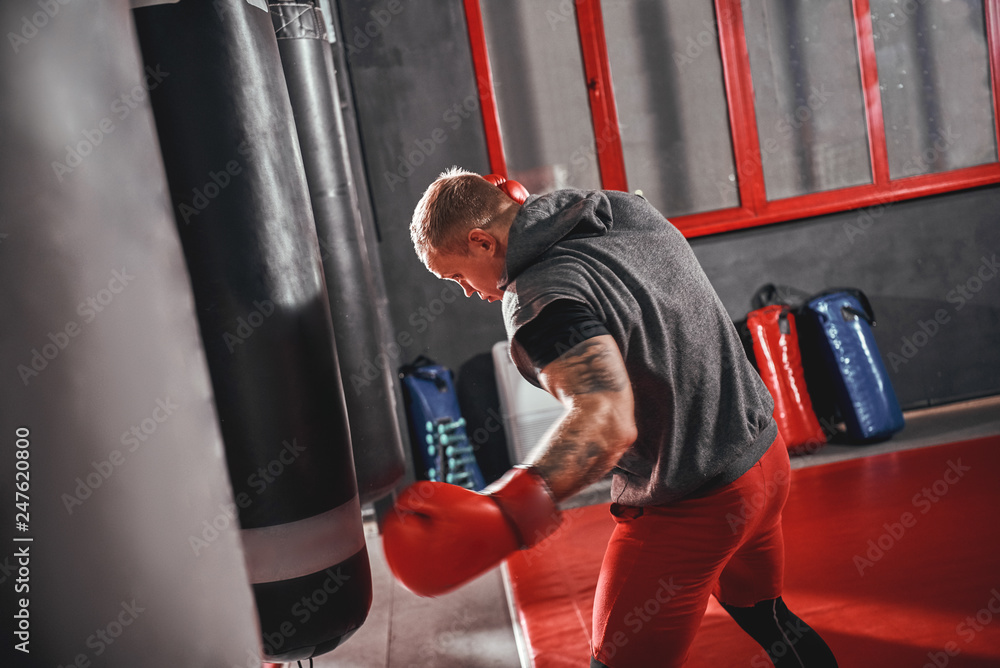 No pain no gain. Confident young boxer in red sports gloves training on ...