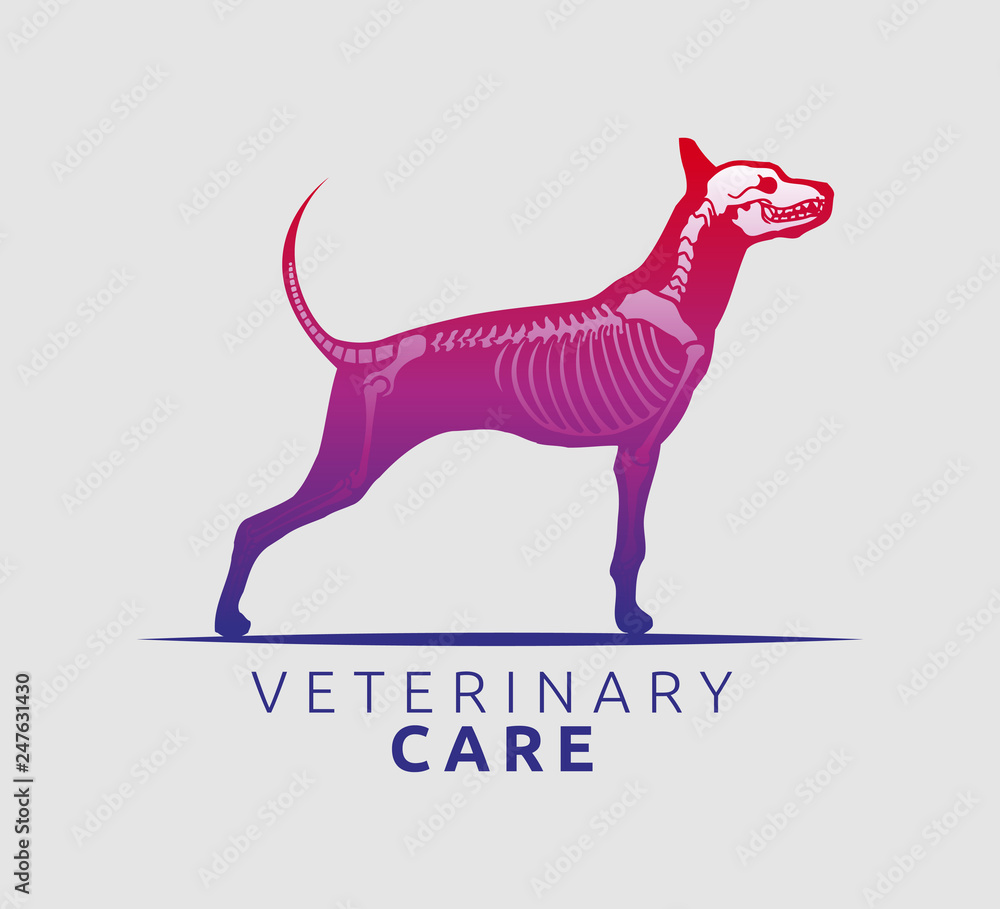 Veterinary Care Emblem Design, Bone Scan Dog Care vector illustration ...