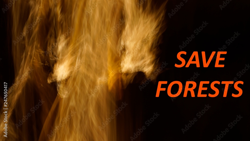 Save forests concept. Long exposure of fire flame abstract texture ...