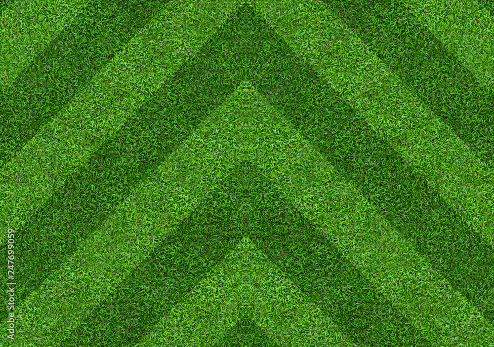 Abstract green grass field background. Green lawn pattern and texture ...