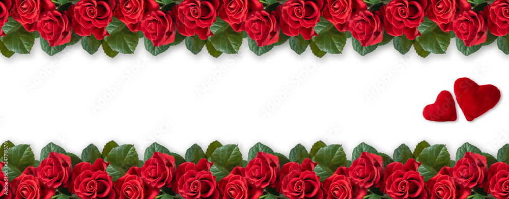 Banner with red roses, Valentines hearts and place for your text ...