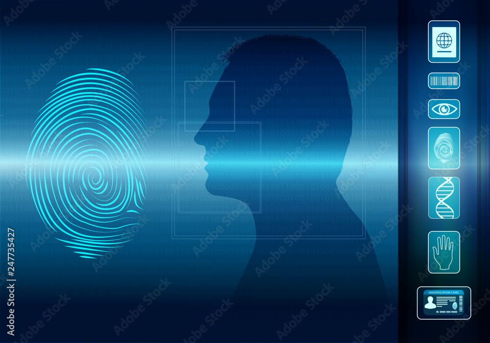 Biometric electronic system for the identification of individual ...