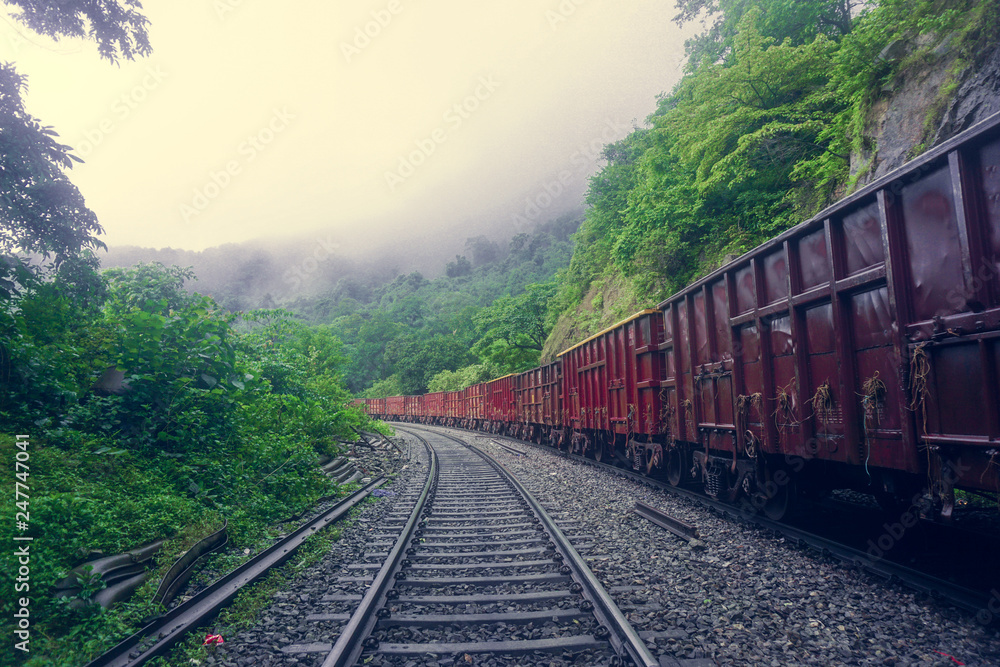 Railway and freight train passing through the jungle and mountains and ...
