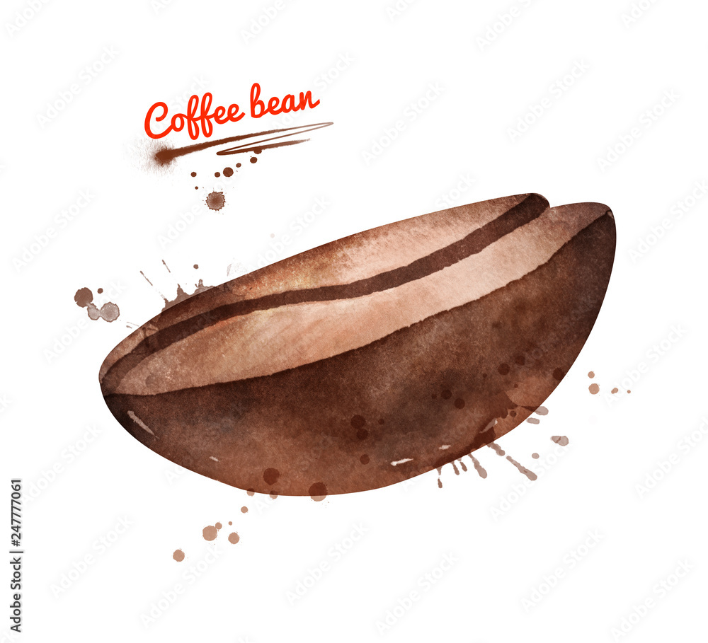 Single Coffee Bean Illustration