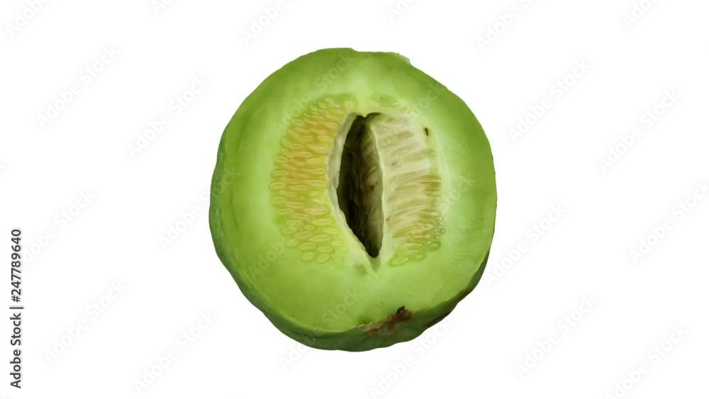 Realistic render of a rotating half unripe melon (for pickling) on ...