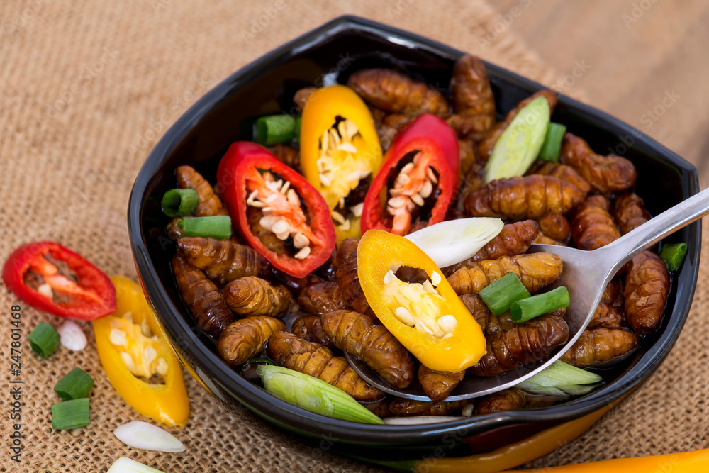 Silkworm Pupae (Bombyx Mori). Food insects for eating as food items ...