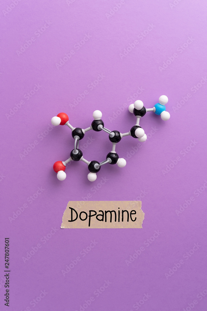Dopamine chemical formula Stock Photo | Adobe Stock