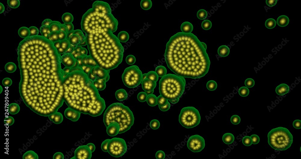 Microscopic life, virus, algae, cells, bacteria multiplying ...