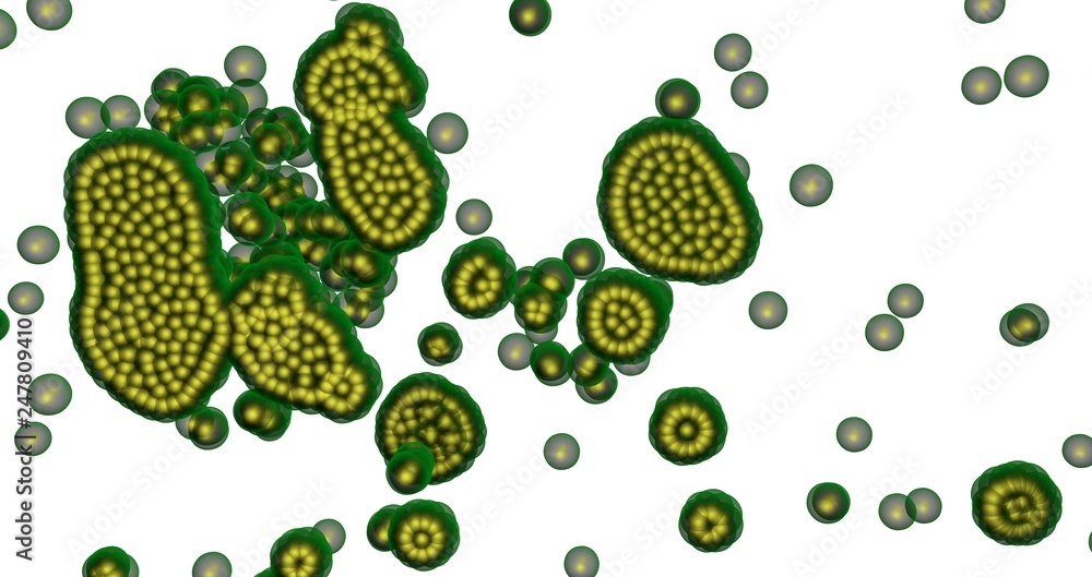 Microscopic life, virus, algae, cells, bacteria multiplying ...