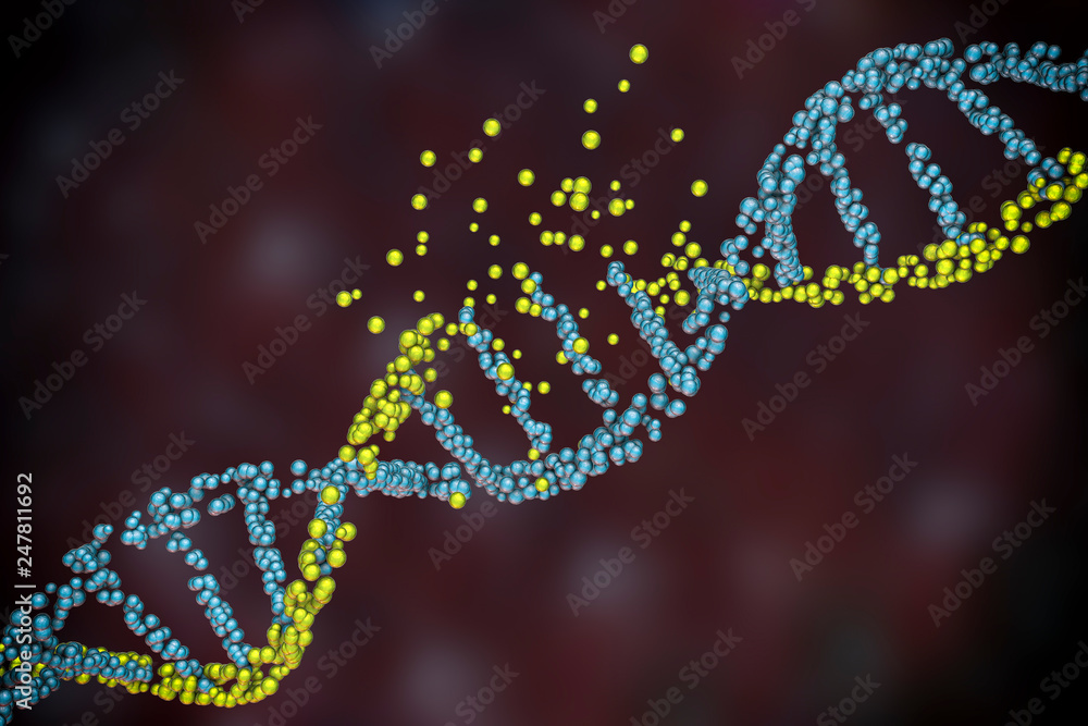 Destruction of DNA, damaged DNA, 3D illustration. Concept of disease ...