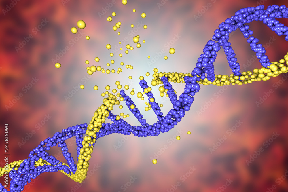 Genetic Disorder Dna