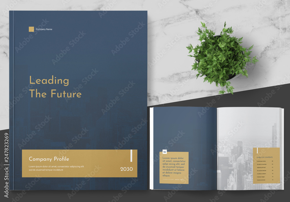Company Profile Layout with Gold and Dark Teal Accents Stock Template ...