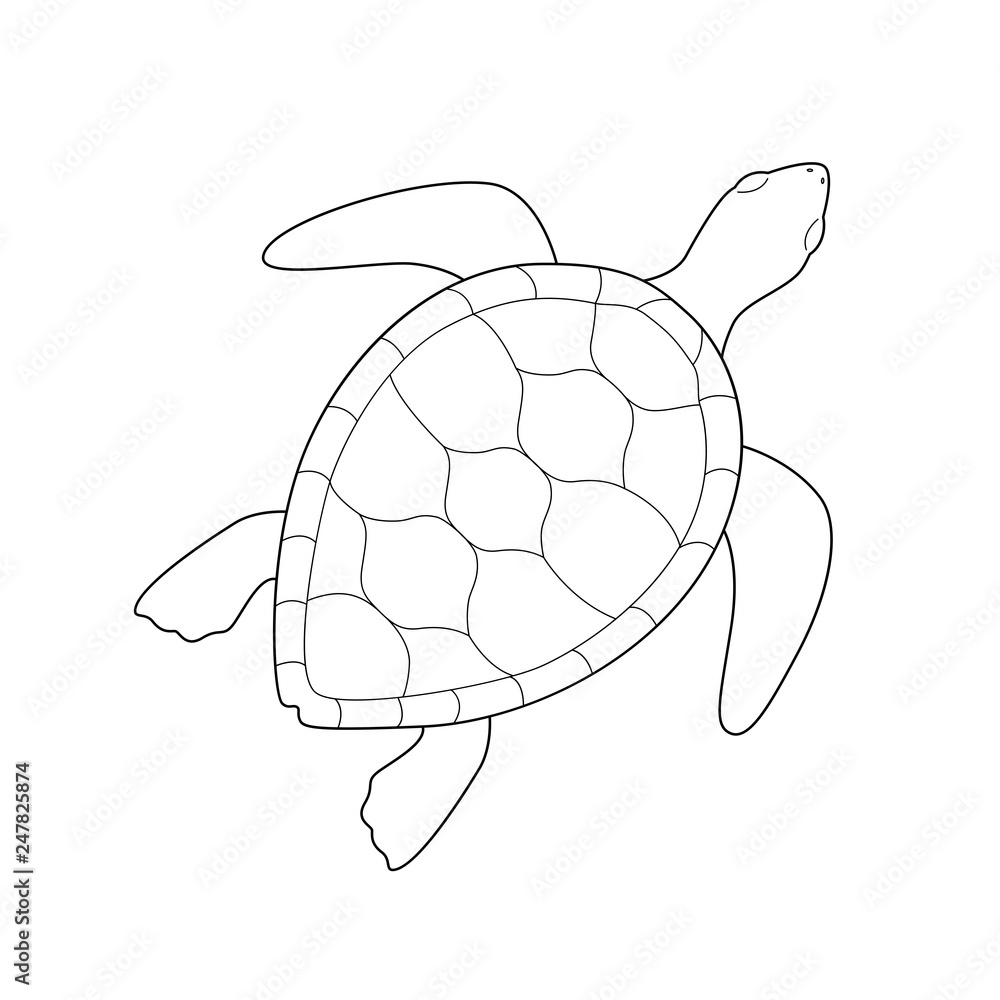 Isolated black outline monochrome sea green turtle on white background ...