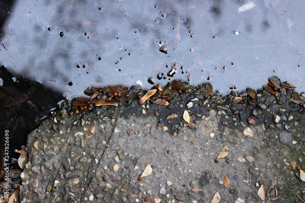 Wet asphalt puddle water pavement sidewalk surface texture Stock Photo ...