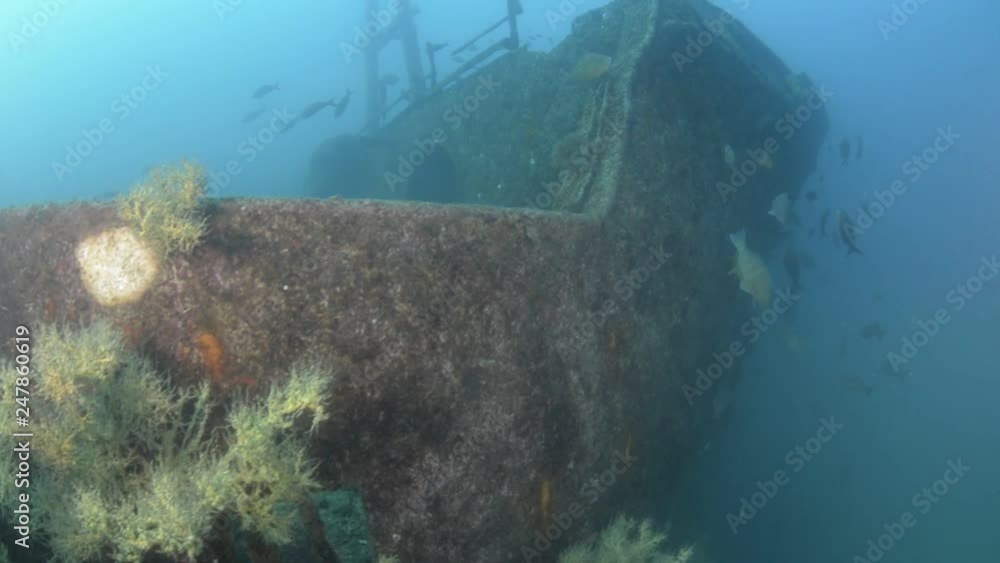 Shipwreck, reefs of Sea of Cortez, Pacific ocean. Isla Espiritu Santo ...