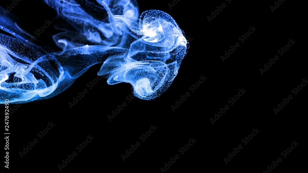 3d ink effect advection in 4k. Glitter in stream of invisible ink in ...