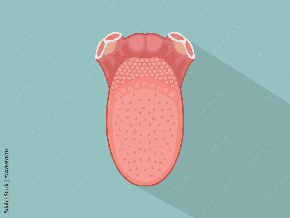 human tongue isolated with long shadow style and vintage retro style ...