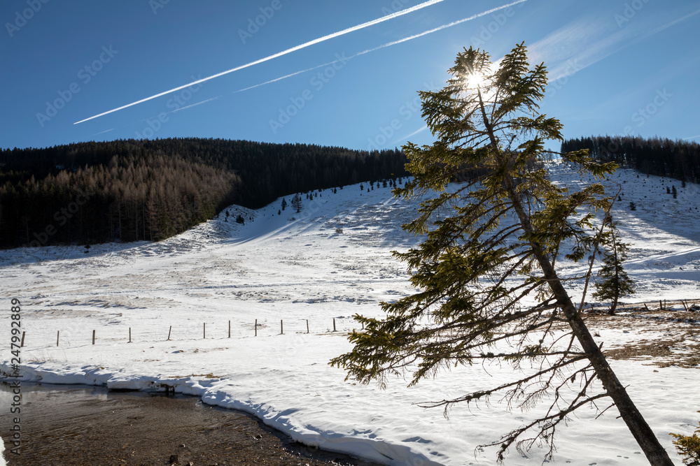 winter in nature park named steirisches almenland (Teichalm) in styria ...