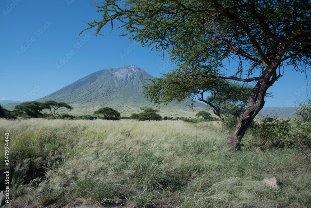 Mount Oldonyo Lengai is an active volcano and considered to by the ...