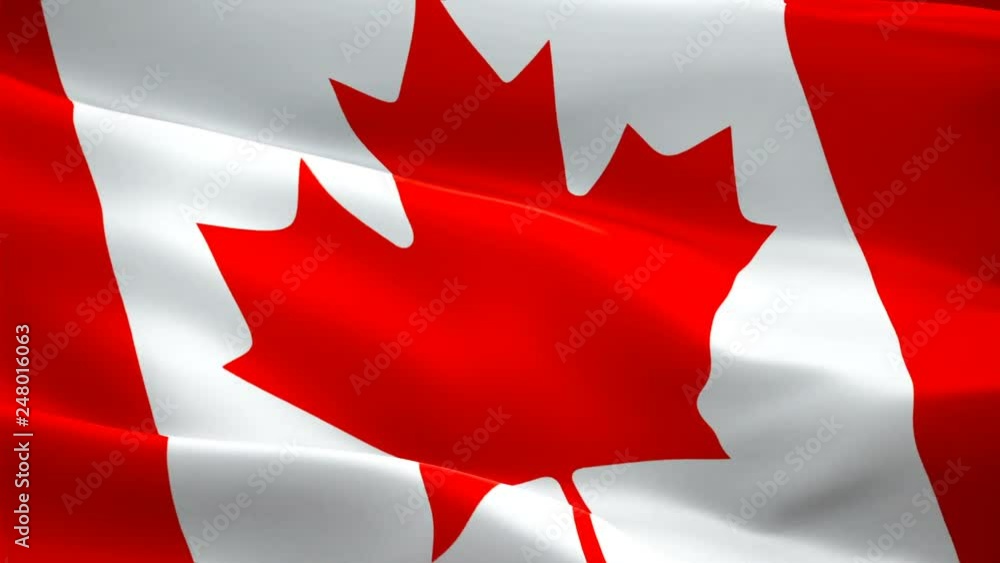 Canadian flag waving in wind video footage Full HD. Realistic Canadian ...