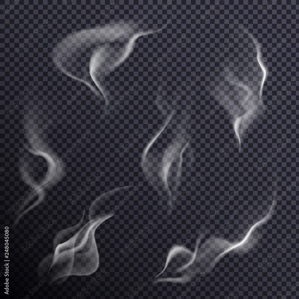 Smoke isolated on transparent background. Vector illustration. Stock ...