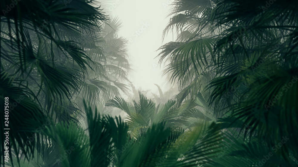 3D illustration Background for advertising and wallpaper in jungle ...