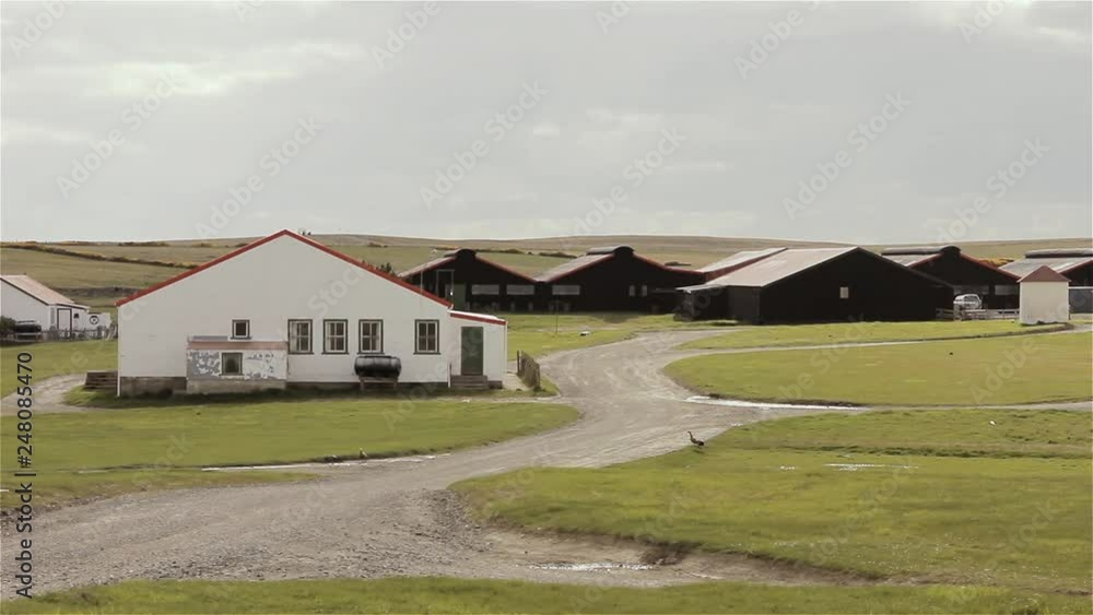 Vidéo Stock Houses of Goose Green, the Third-largest Settlement of the ...