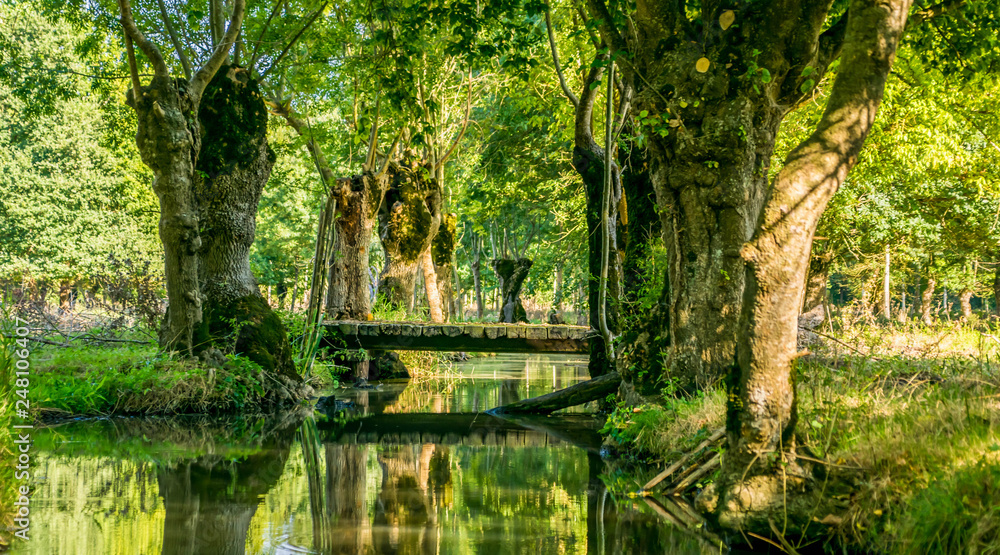 Marais Poitevin, Venise verte, Vendée, Deux-Sèvres, Charente-Maritime ...