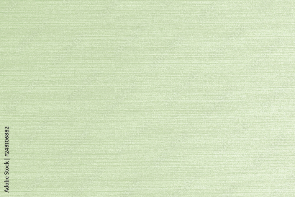 Light Green Fabric Texture