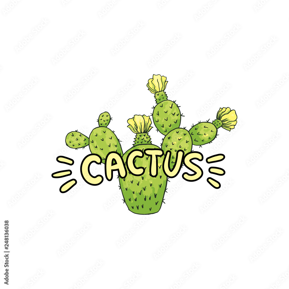 Cactus Lettering with Green letters, Cacti Saguaro and Red pepper ...