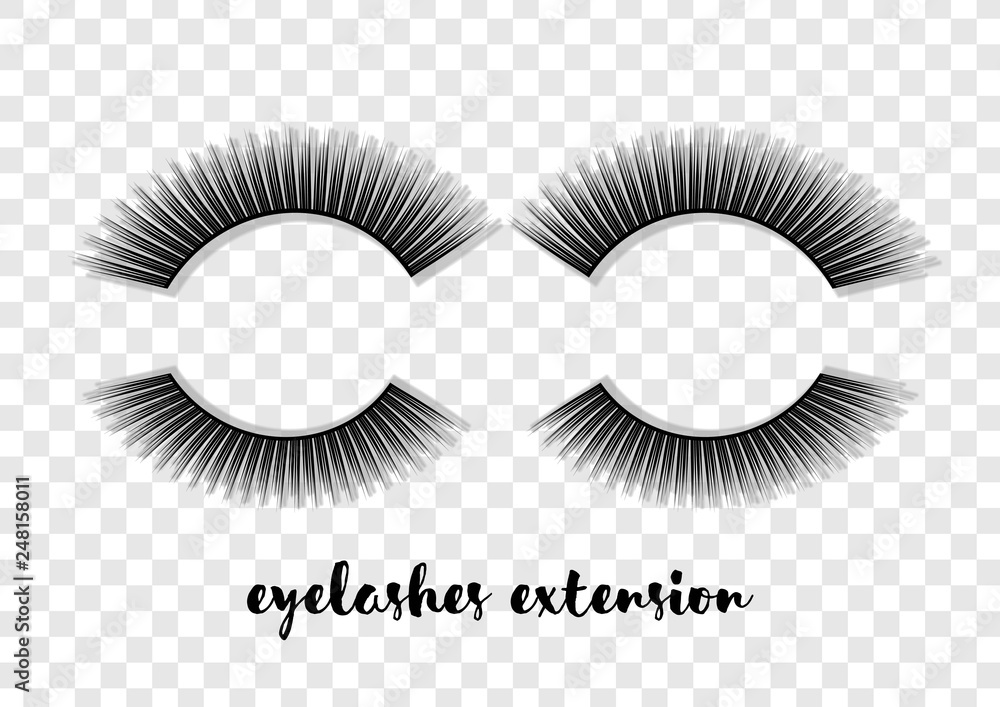 Eyelashes extension isolated on transparent background. Vector ...