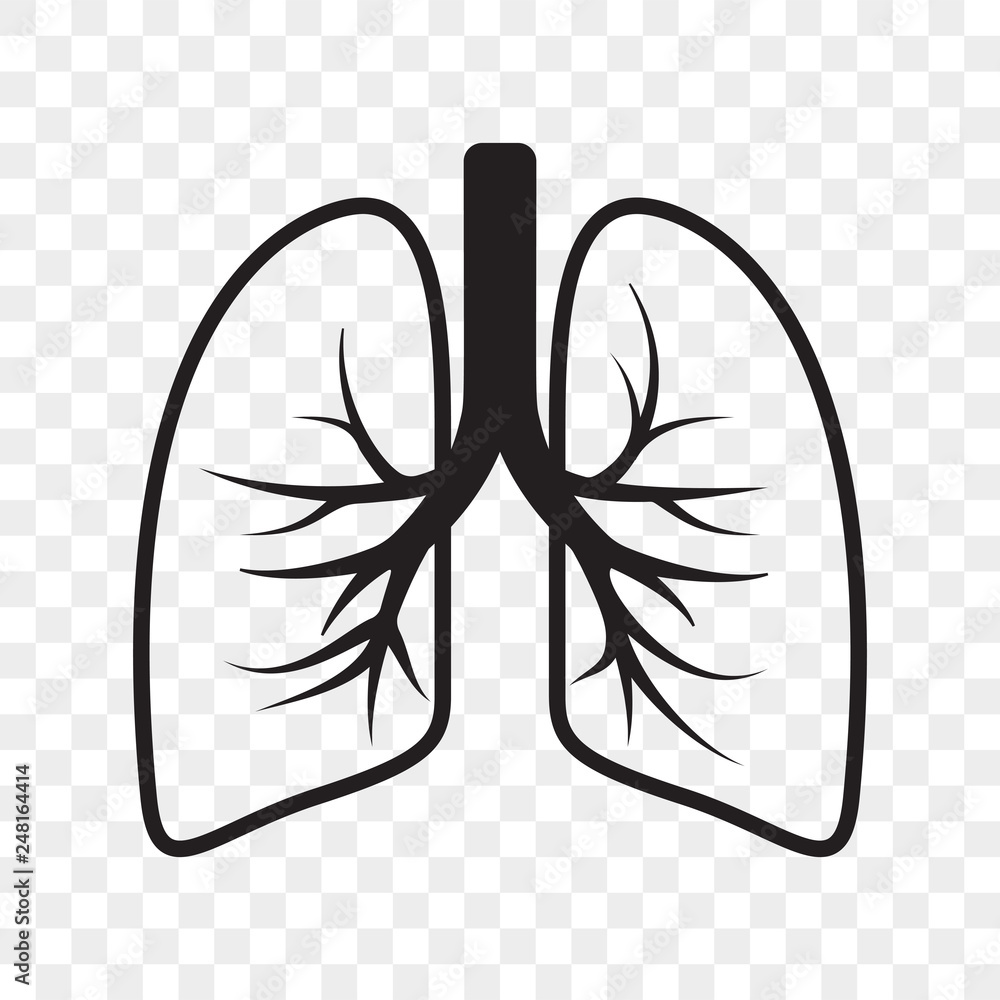 Lungs vector outline icon. Cold cough and bronchitis lung disease ...