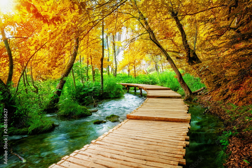 Beautiful wooden path trail for nature trekking with lakes and ...