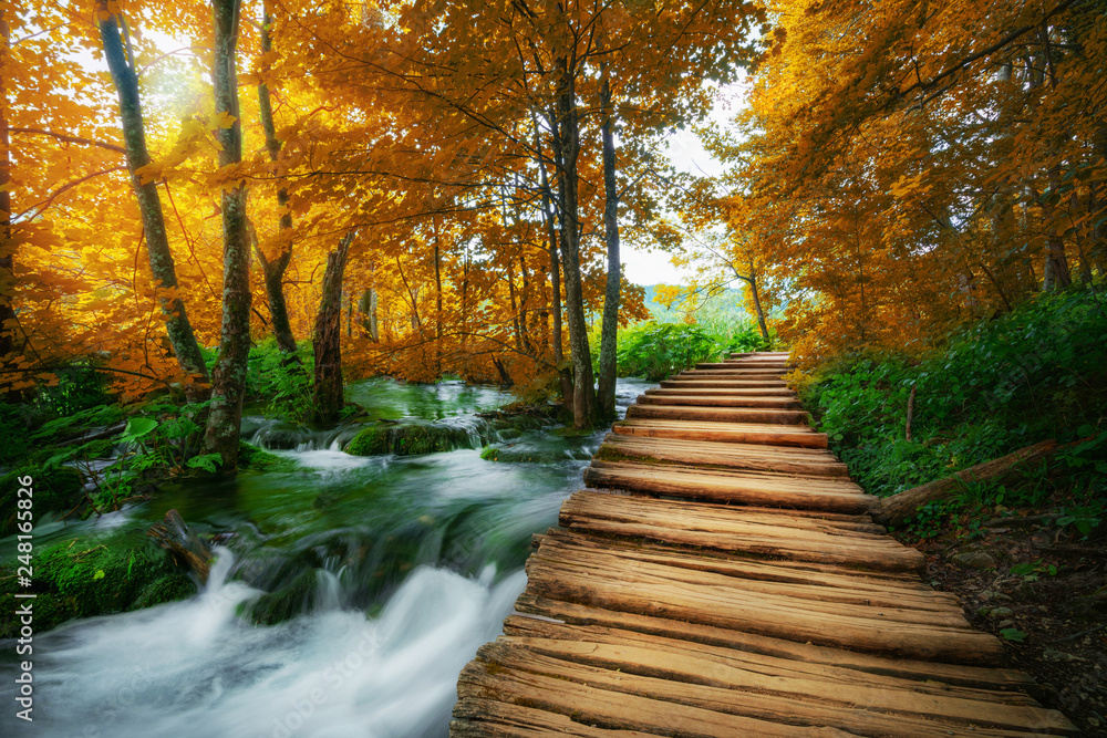 Beautiful wooden path trail for nature trekking with lakes and ...
