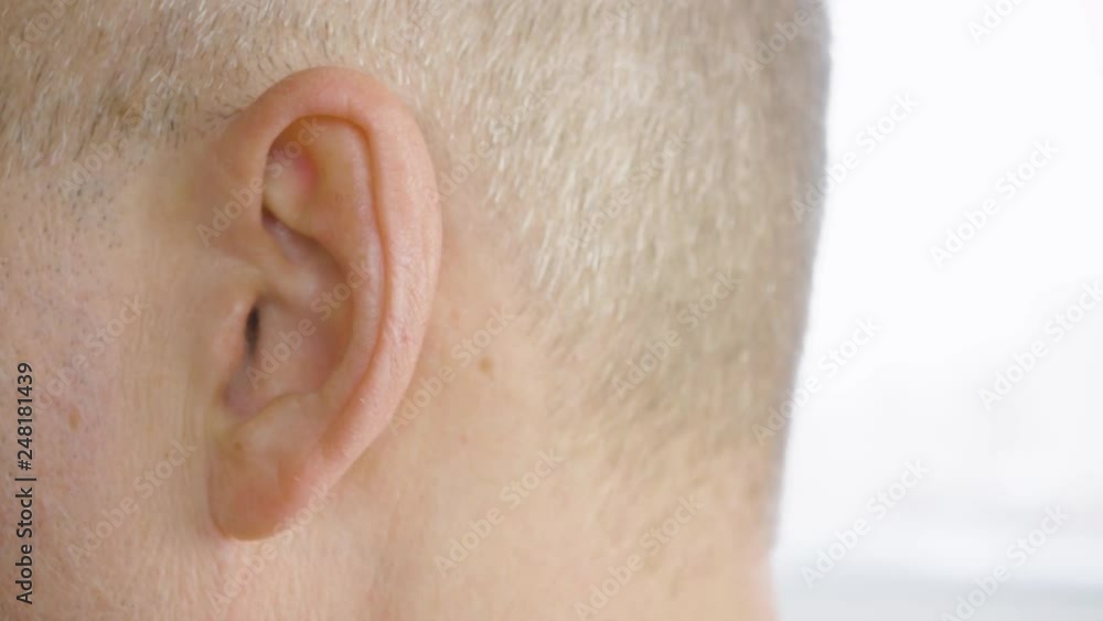 Adult man with gray temples moving ear close up. Male ear macro ...