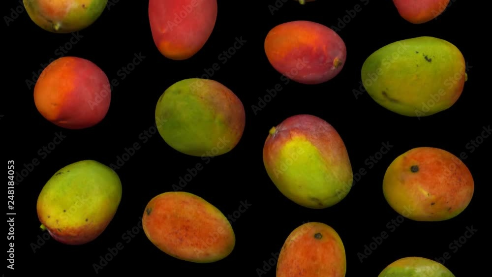 Realistic render of falling sindhoora mangoes on transparent background ...