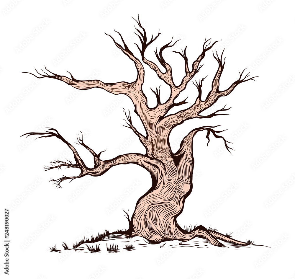Dry Tree with Simple Color, Vector on White Background - Vector ...
