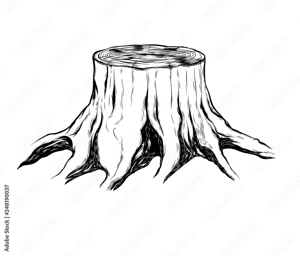 Dried Tree, Illegal Logging Symbol, Vector on White Background - Vector ...