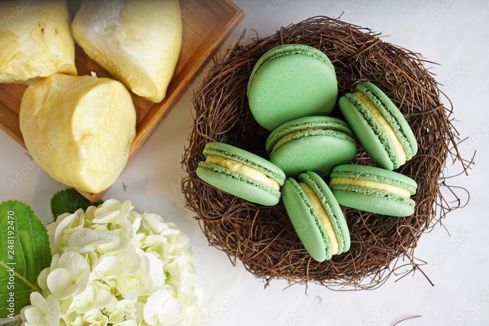Durian macarons in green and yellow color on bird nest with hydrangea ...