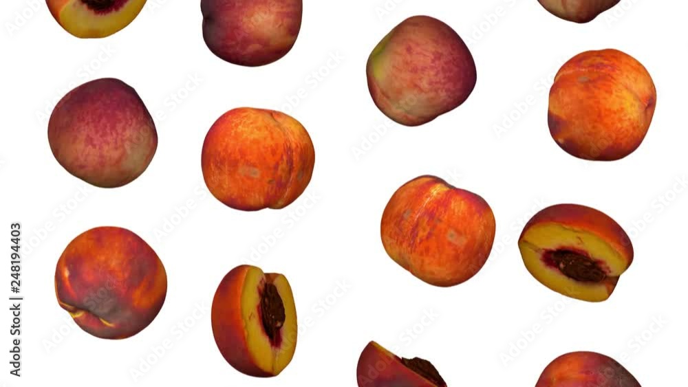 Realistic render of falling peaches on white background. The video is ...