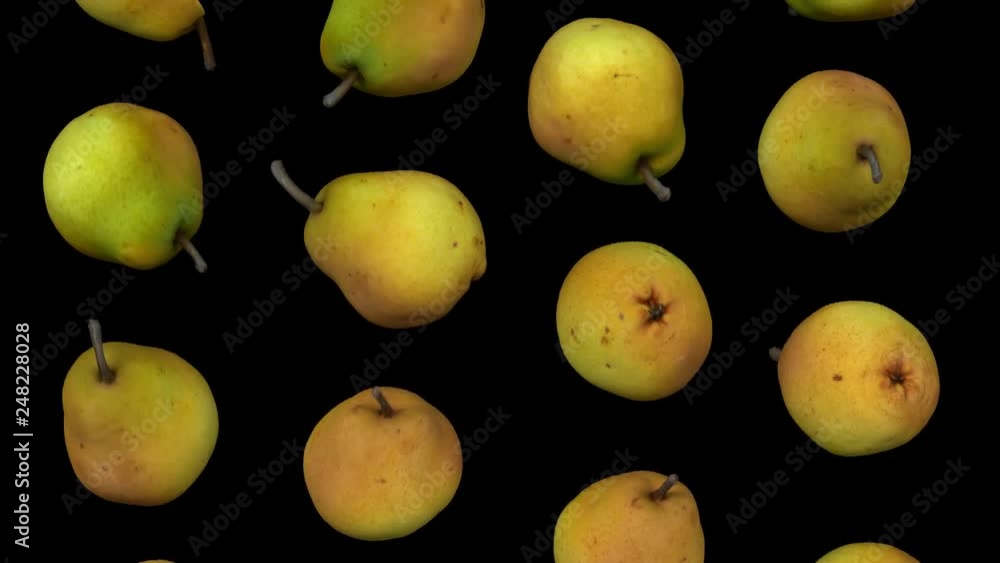 Realistic render of falling pears on transparent background (with alpha ...