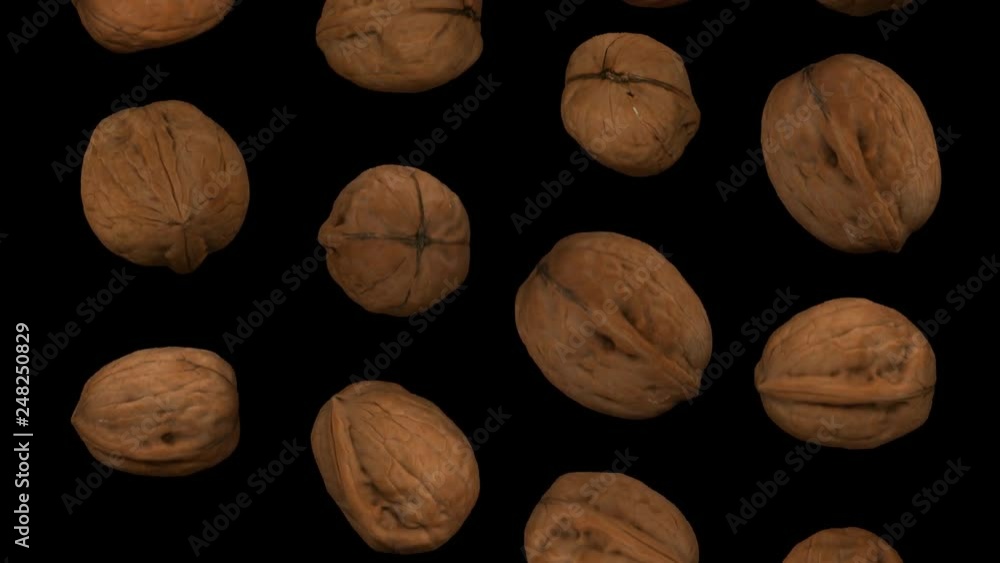 Realistic render of falling walnuts on transparent background (with ...