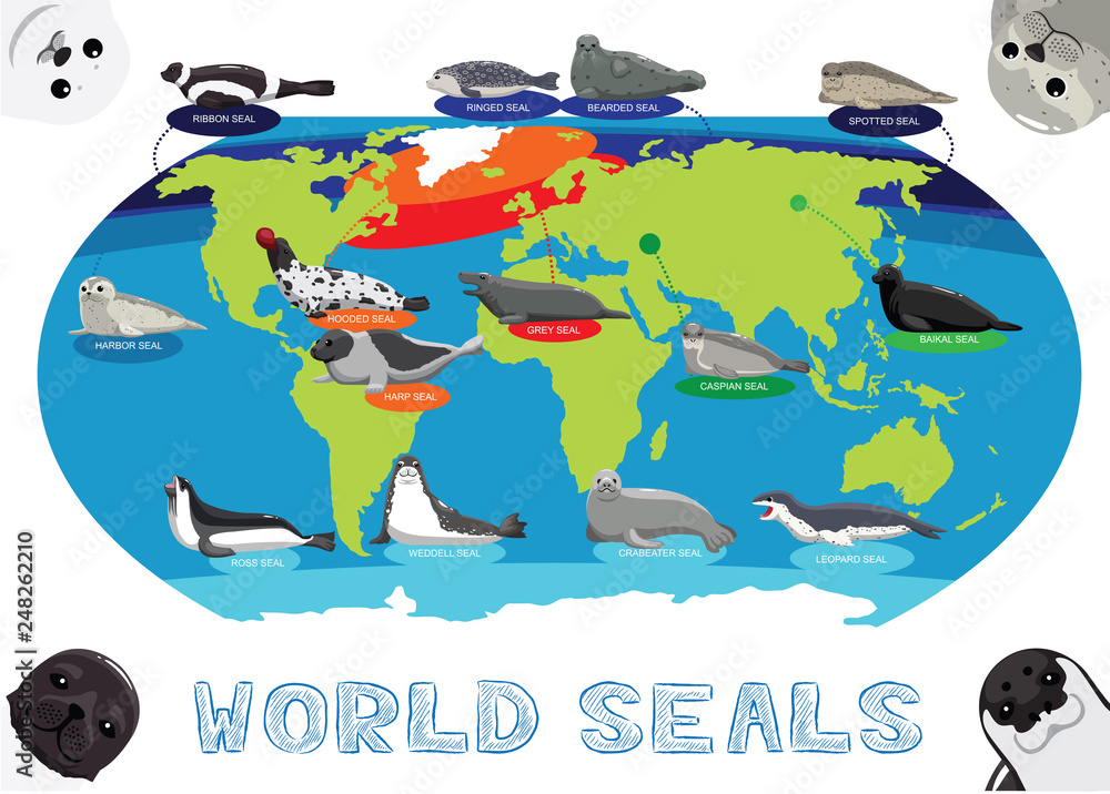 Seal Distribution World Map Cartoon Vector Stock Vector | Adobe Stock