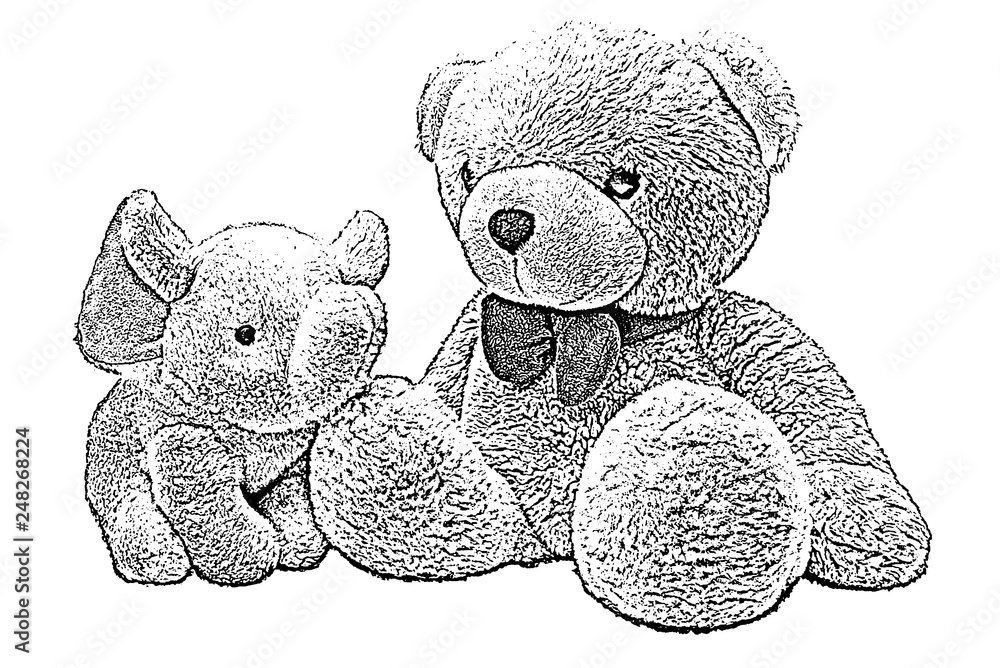 teddy bear,sketch teddy bear,drawing teddy bear isolated on white ...