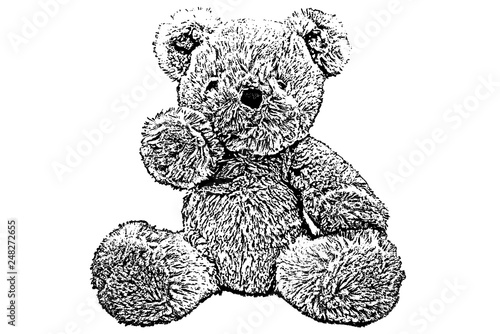 How To Draw A Realistic Teddy Bear