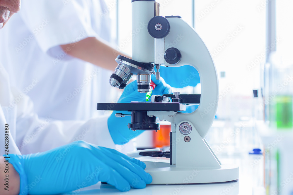 The scientist test new product by test tube in health sciences, life ...